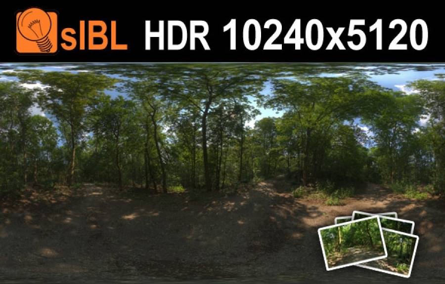 HDR 114 Forest Plates - Professional HDRI | HDRI Hub