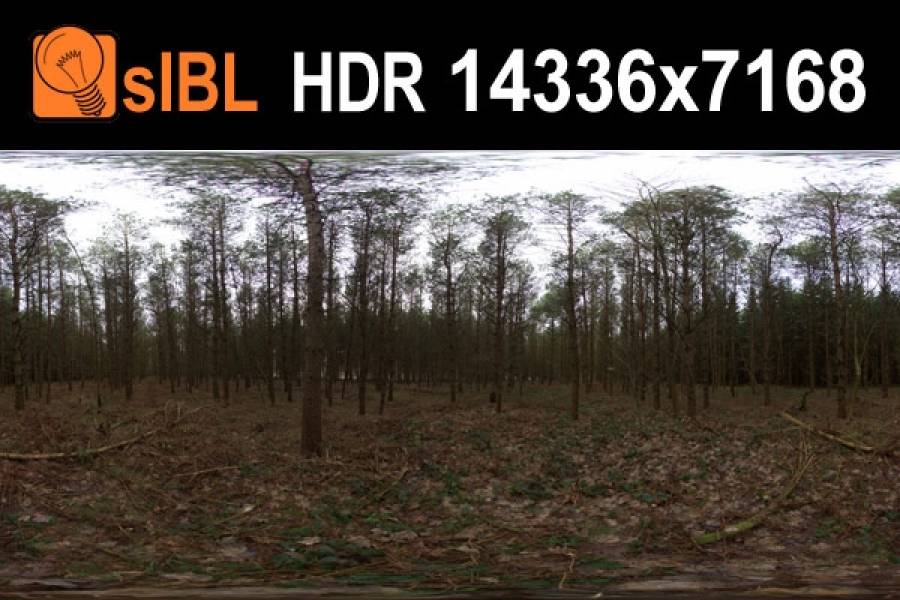 HDR 096 Forest - Professional HDRI | HDRI Hub