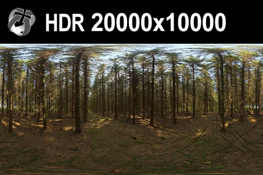 HDRI 153 Forest 20k - Professional HDRI | HDRI Hub