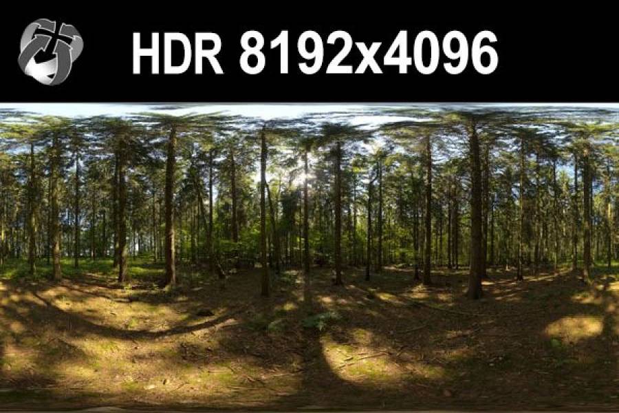 HDR 150 Forest - Professional HDRI | HDRI Hub