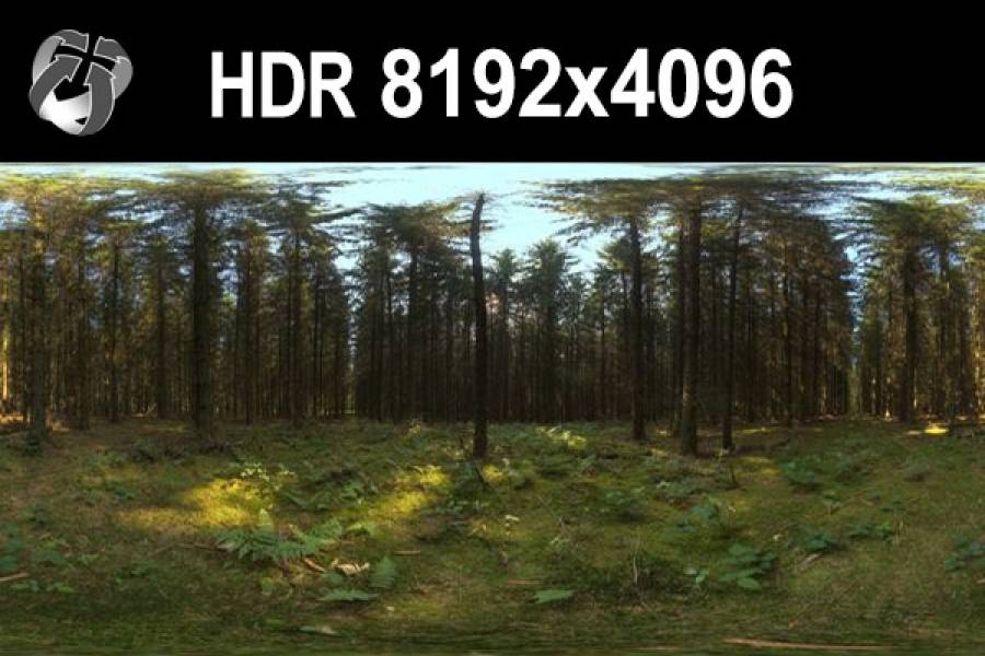 HDR 162 Forest - Professional HDRI | HDRI Hub