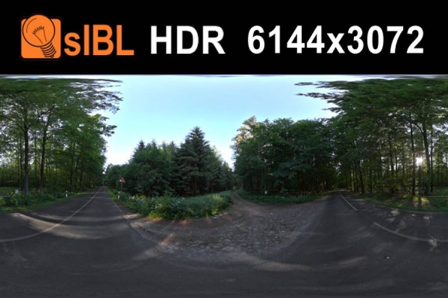 HDR 020 Forest 2 - Professional HDRI | HDRI Hub