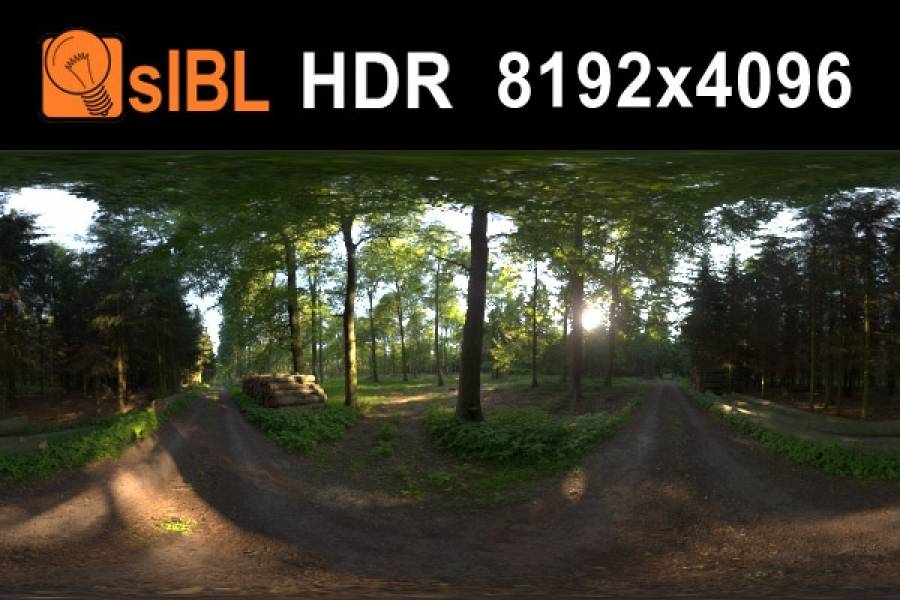 HDRI 019 Forest 1 - Professional HDRI | HDRI Hub