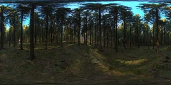 HDRI Hub - Free hdri maps and skies for download